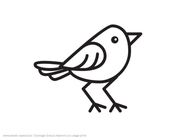 Coloriage Oiseau | 100 Dessins oiseaux GRATUIT à imprimer Coloriage Oiseau | 100 Dessins oiseaux GRATUIT à imprimer